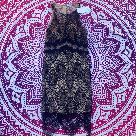 Tobi | Dresses | Nwt Tobi Lace Dress | Poshmark